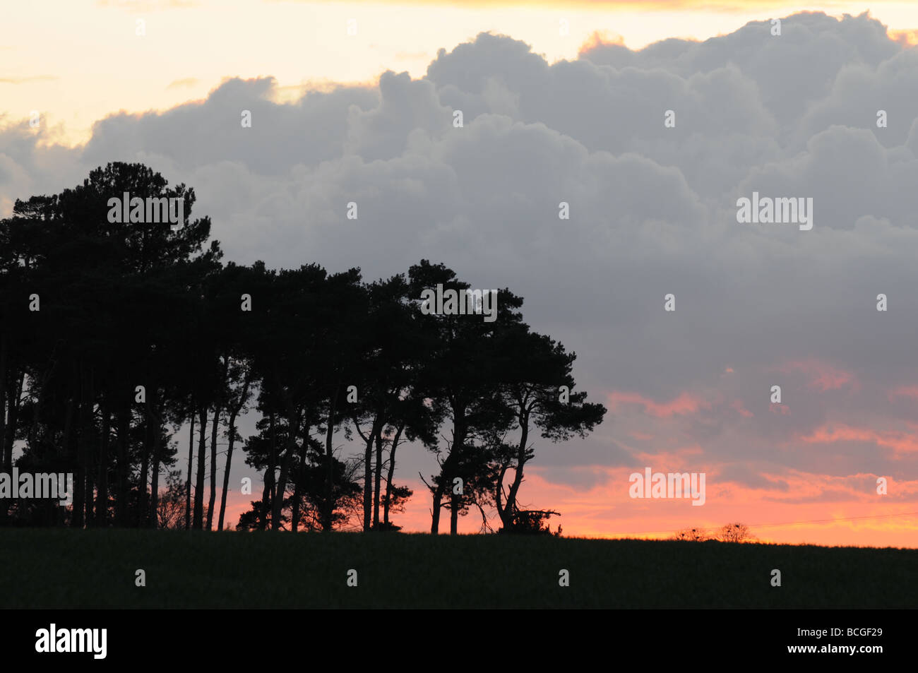 Rendlesham Forest High Resolution Stock Photography and Images - Alamy