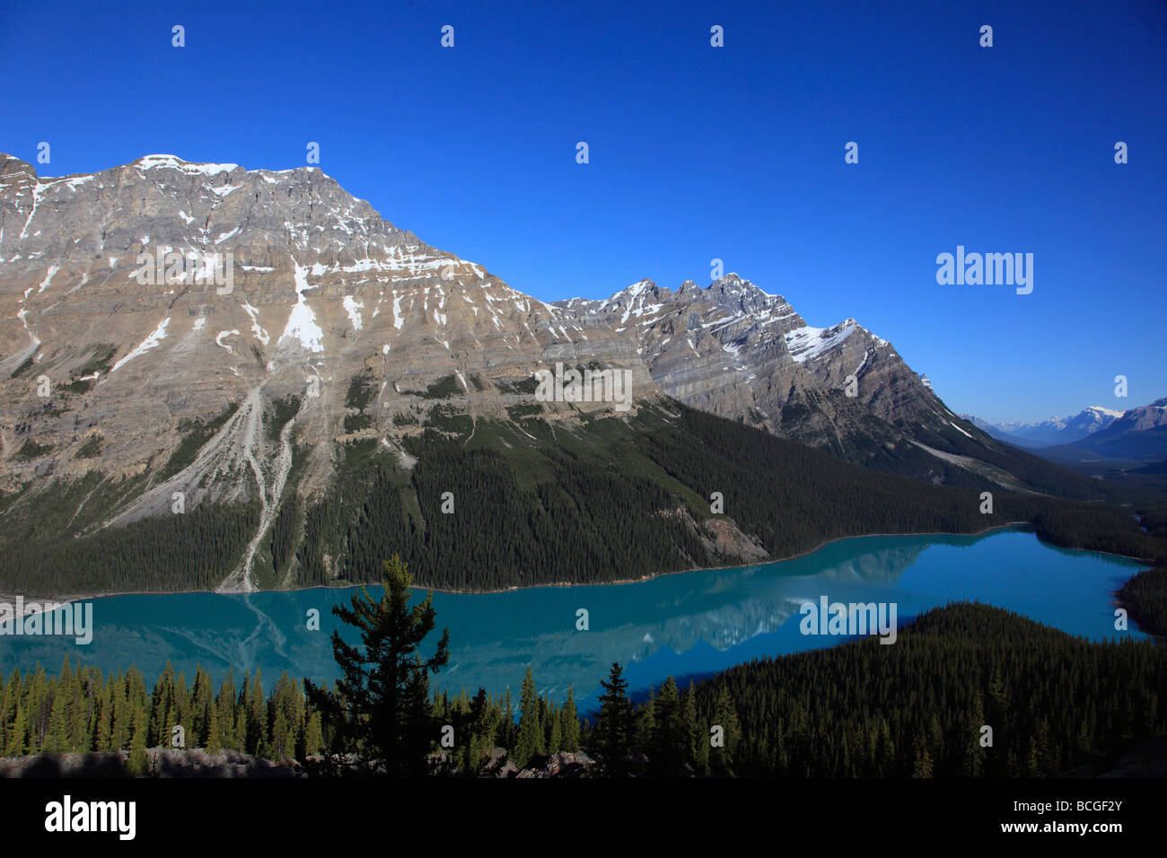 Canada Alberta Banff National Park Peyto Lake Mount Patterson Stock ...