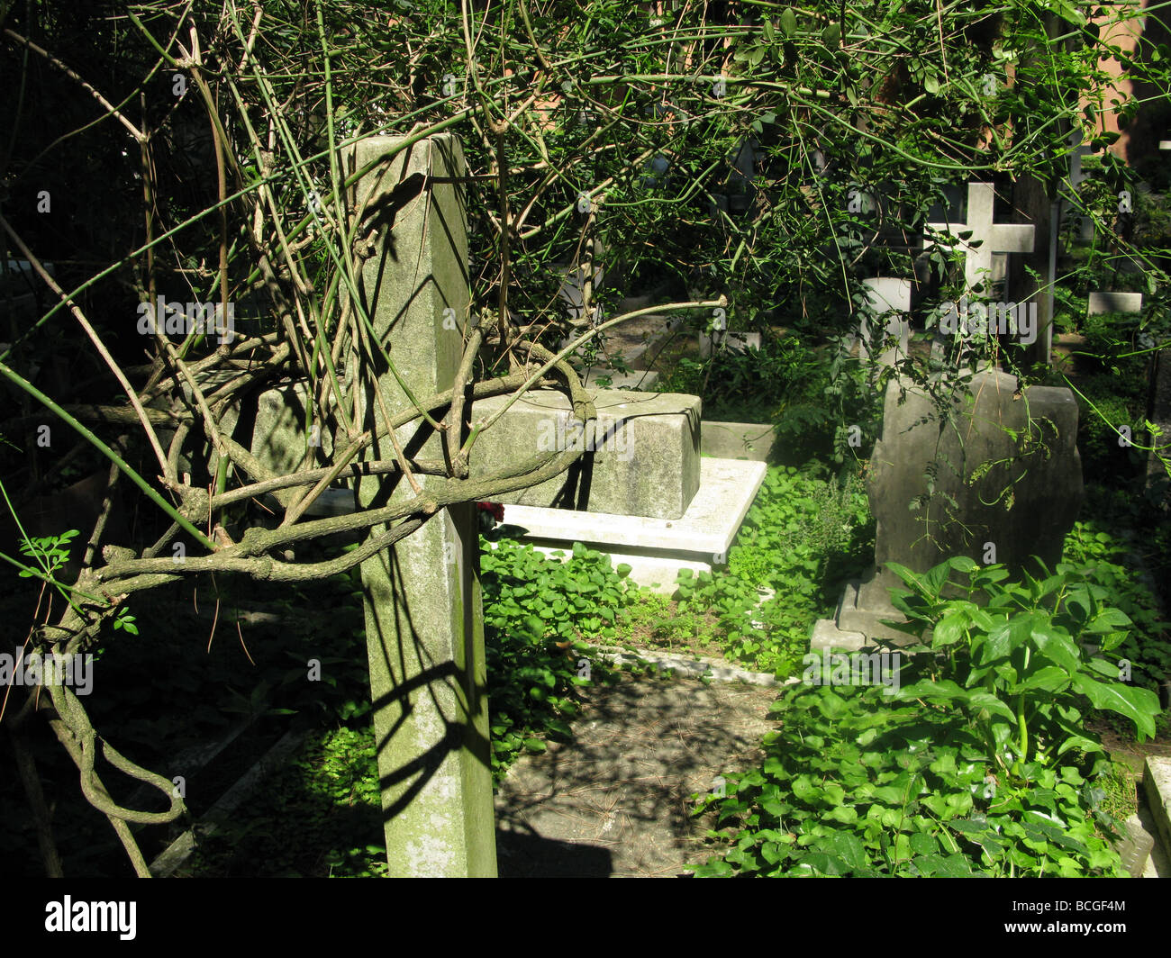 gravestones in protestant cemetery near piramide, rome Stock Photo - Alamy