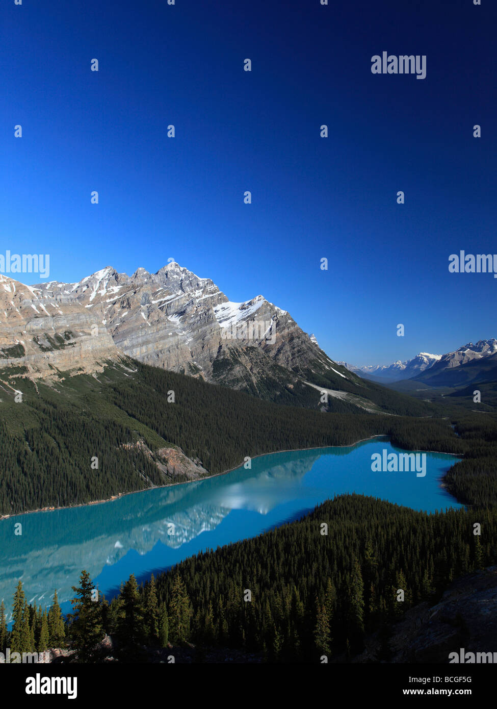 Canada Alberta Banff National Park Peyto Lake Mount Patterson Stock ...