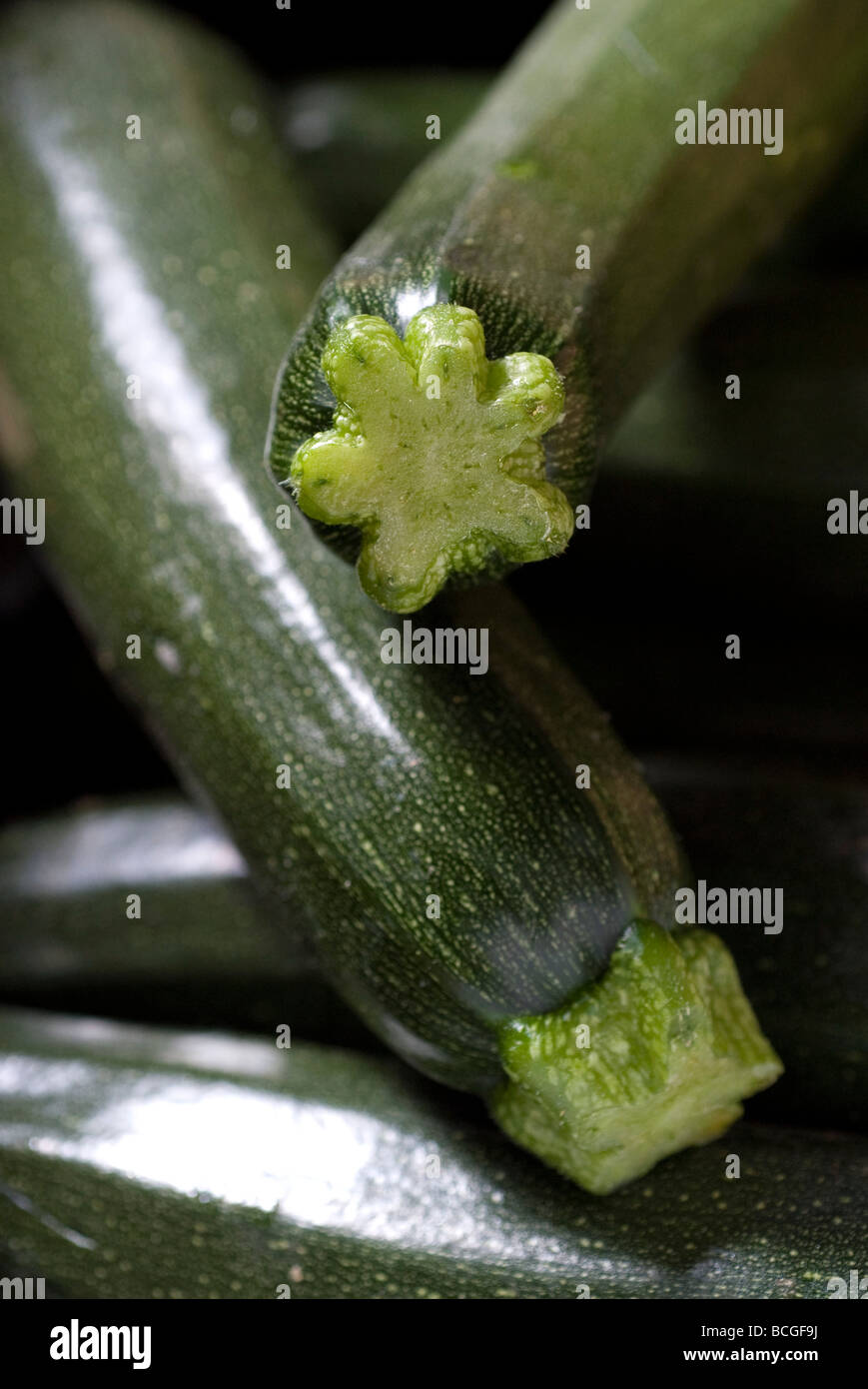 Courgette hi-res stock photography and images - Alamy