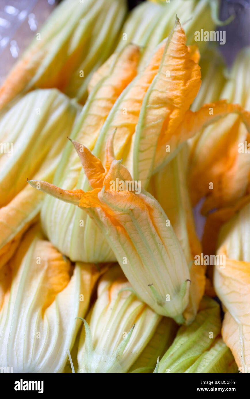 Corolla food hi-res stock photography and images - Alamy