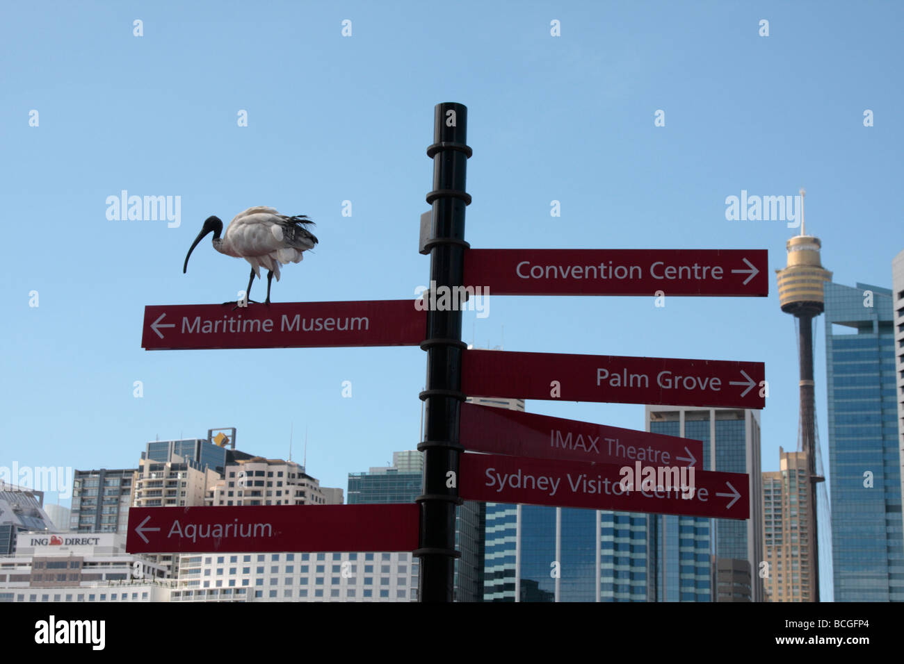 Darling harbour signs hi-res stock photography and images - Alamy