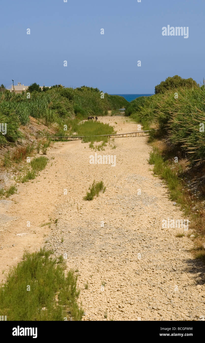 Dried up stream hi-res stock photography and images - Alamy