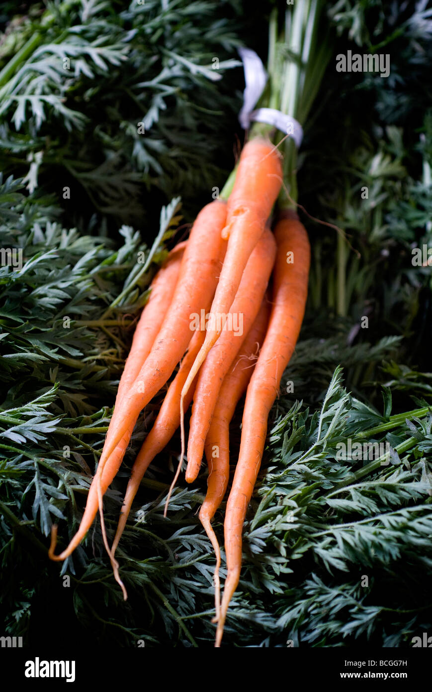 Fresh raw foods Stock Photo - Alamy