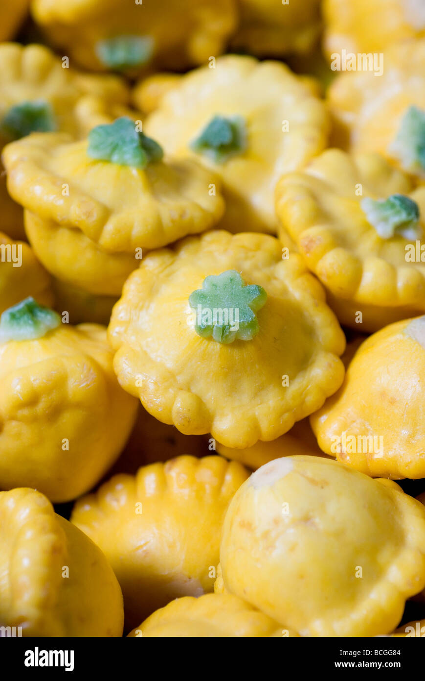 Fresh raw foods, baby yellow squash Stock Photo - Alamy