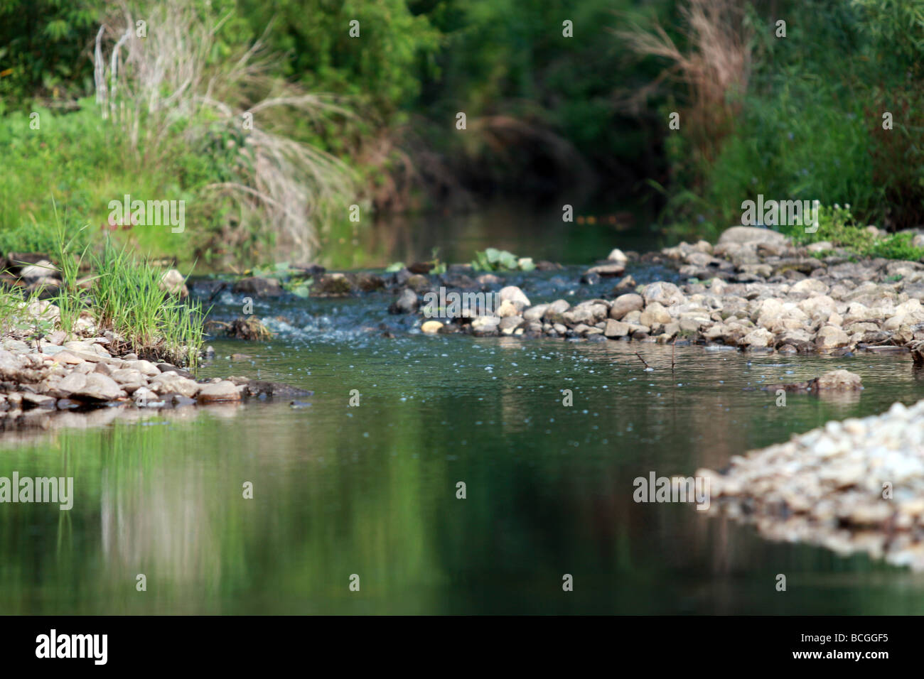 Stream meandering towards Lake Michigan Stock Photo - Alamy