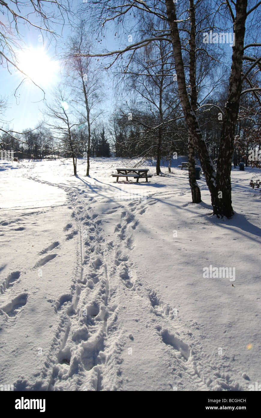 footsteps in the snow Stock Photo - Alamy