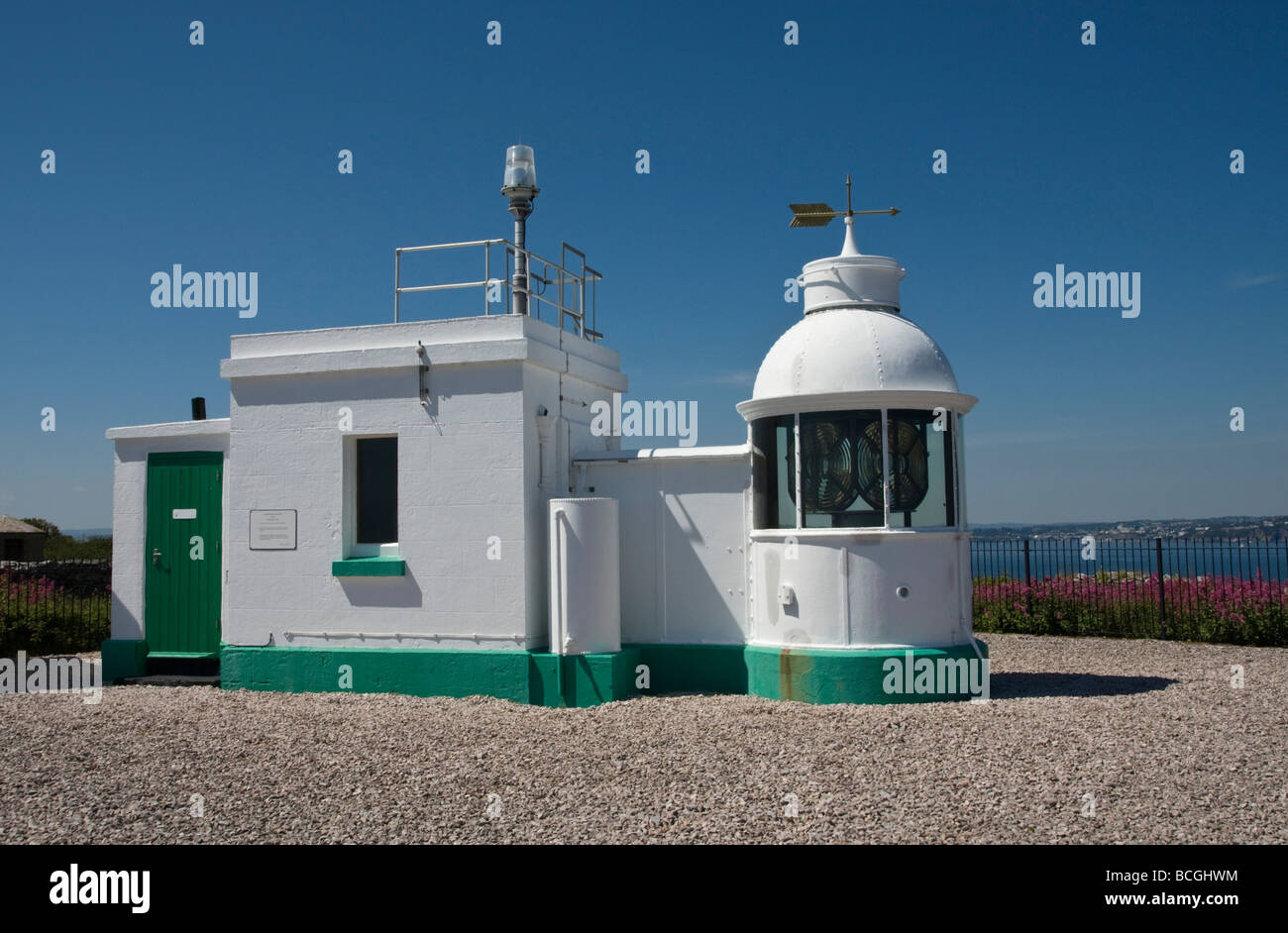 Berry head hi-res stock photography and images - Alamy