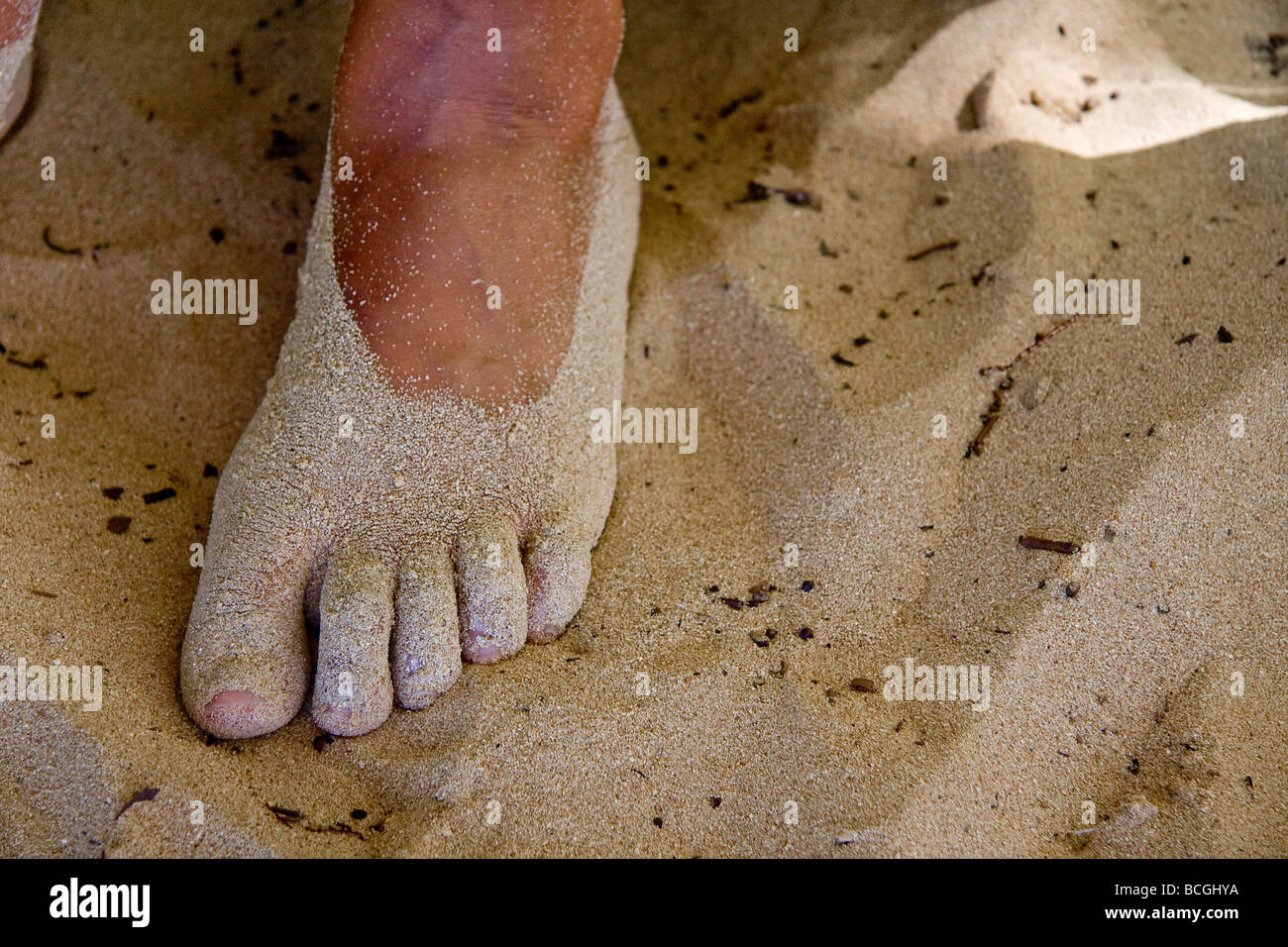 Sand between toes hi-res stock photography and images - Alamy