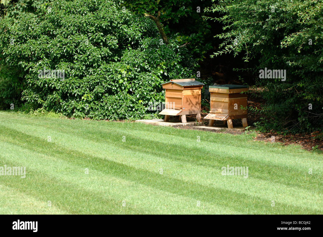 English garden scene with bee hives Stock Photo - Alamy