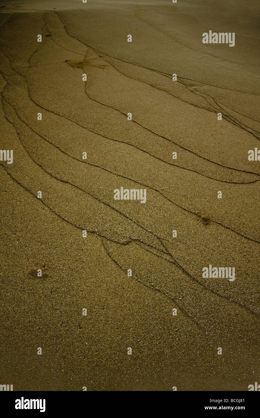 The beaches of Playa Grande at sunset showing the long, lined patterns ...