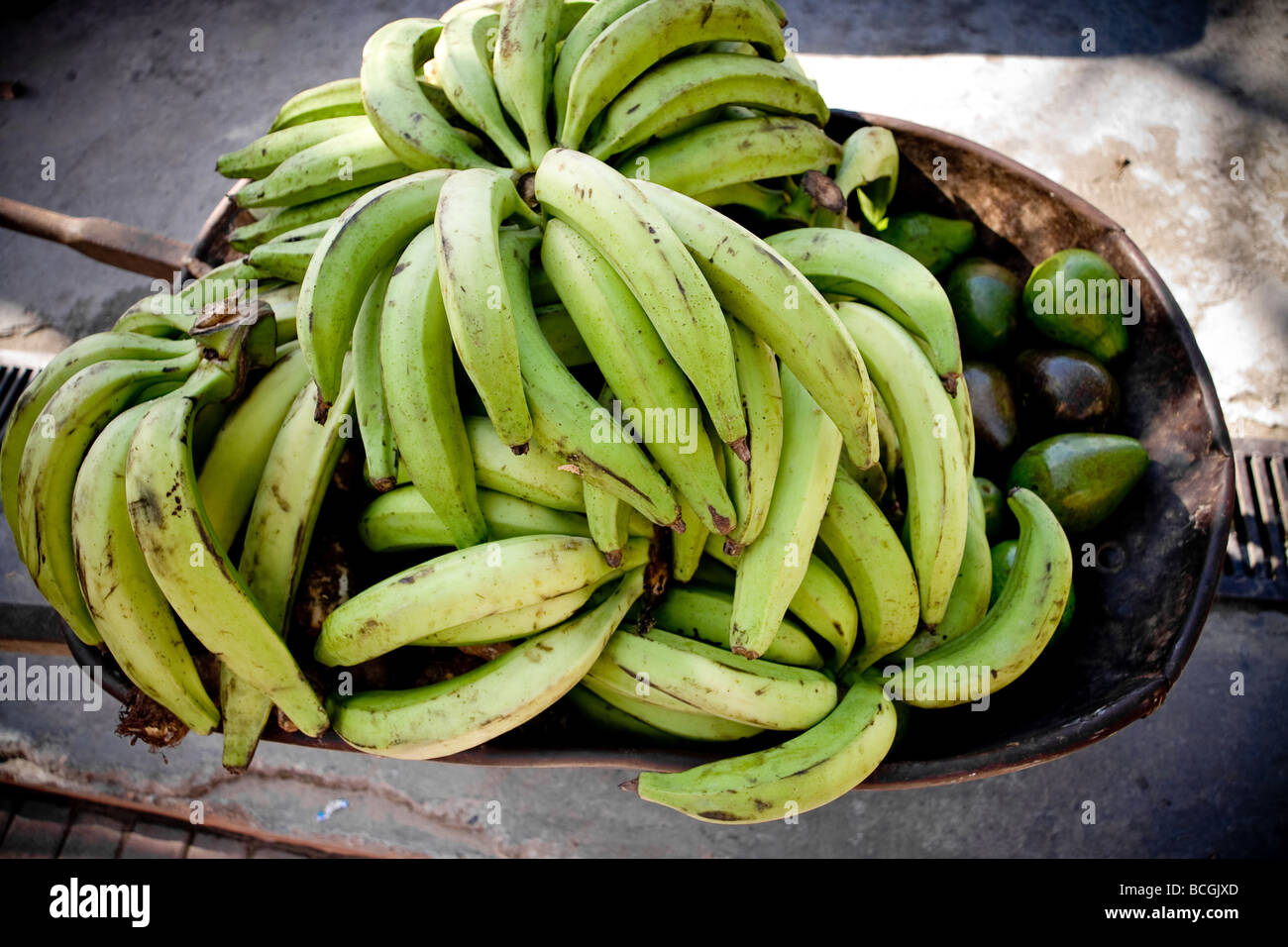 Green bananas and avocados in a wheel barrow in Cabarette Dominican ...