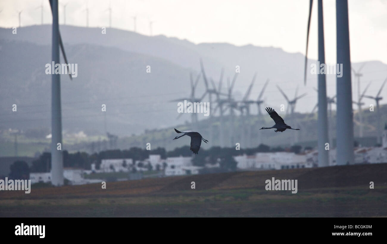 Gibraltar wind turbines hi-res stock photography and images - Alamy