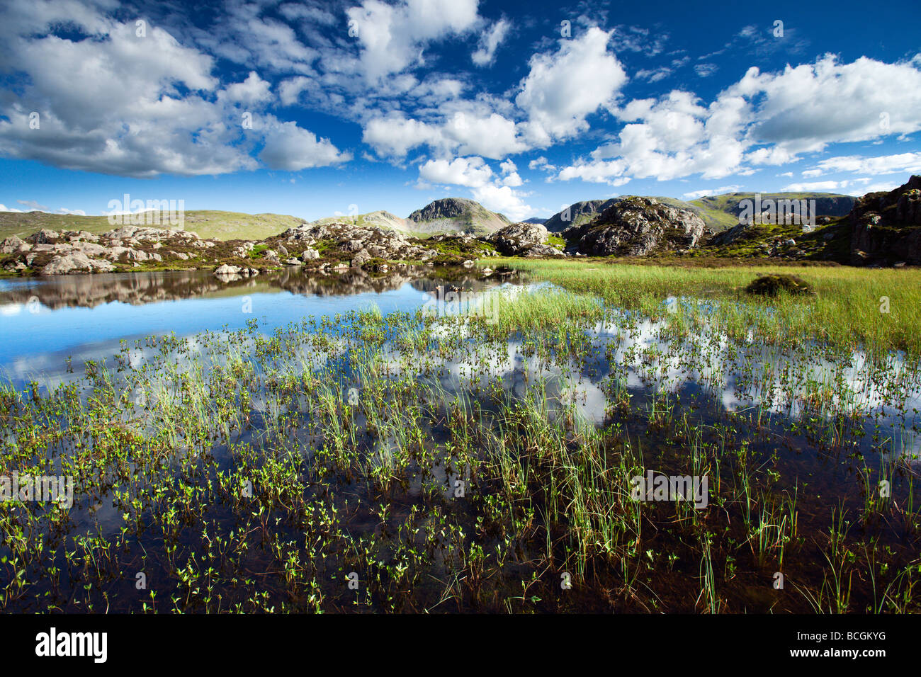 Innominate Tarn On Haystacks High Above Buttermere With 'Great Gable ...