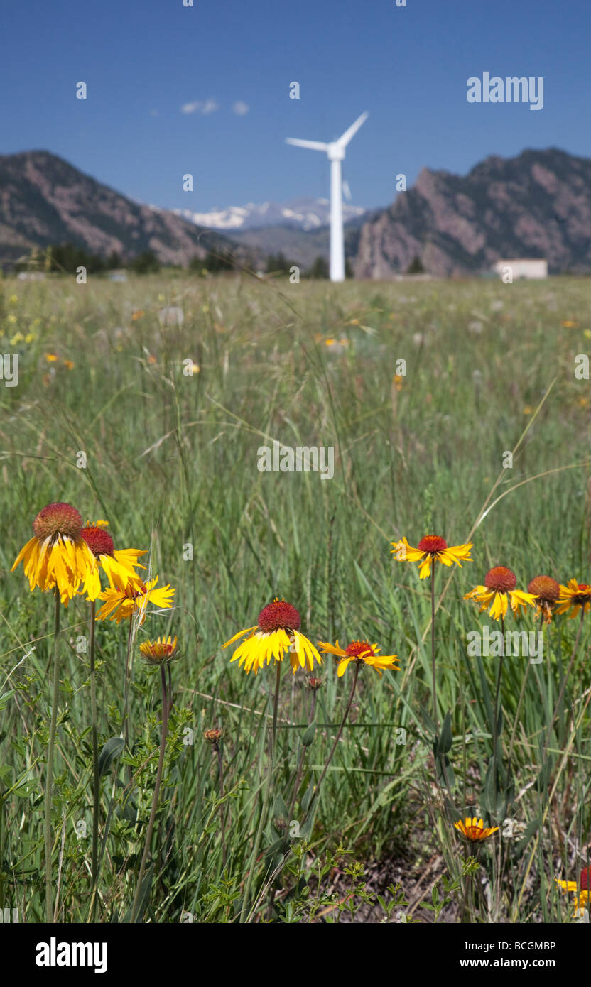 Wind energy research at the National Renewable Energy Laboratory's Wind ...