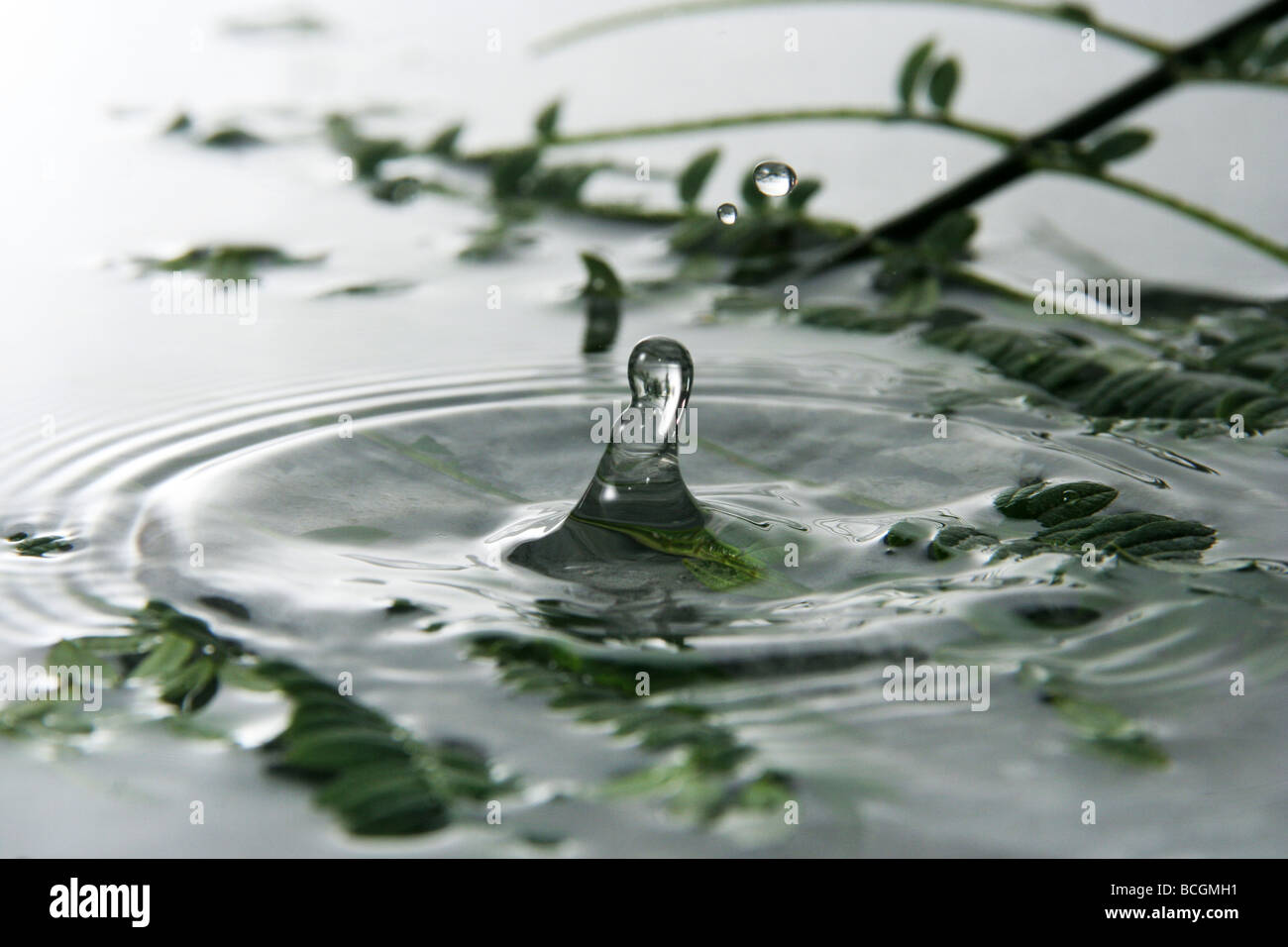 Droplet water falling puddle hi-res stock photography and images - Alamy
