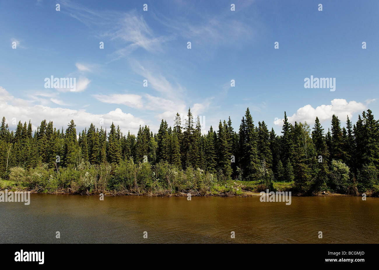 Chena River, Alaska, USA Stock Photo - Alamy