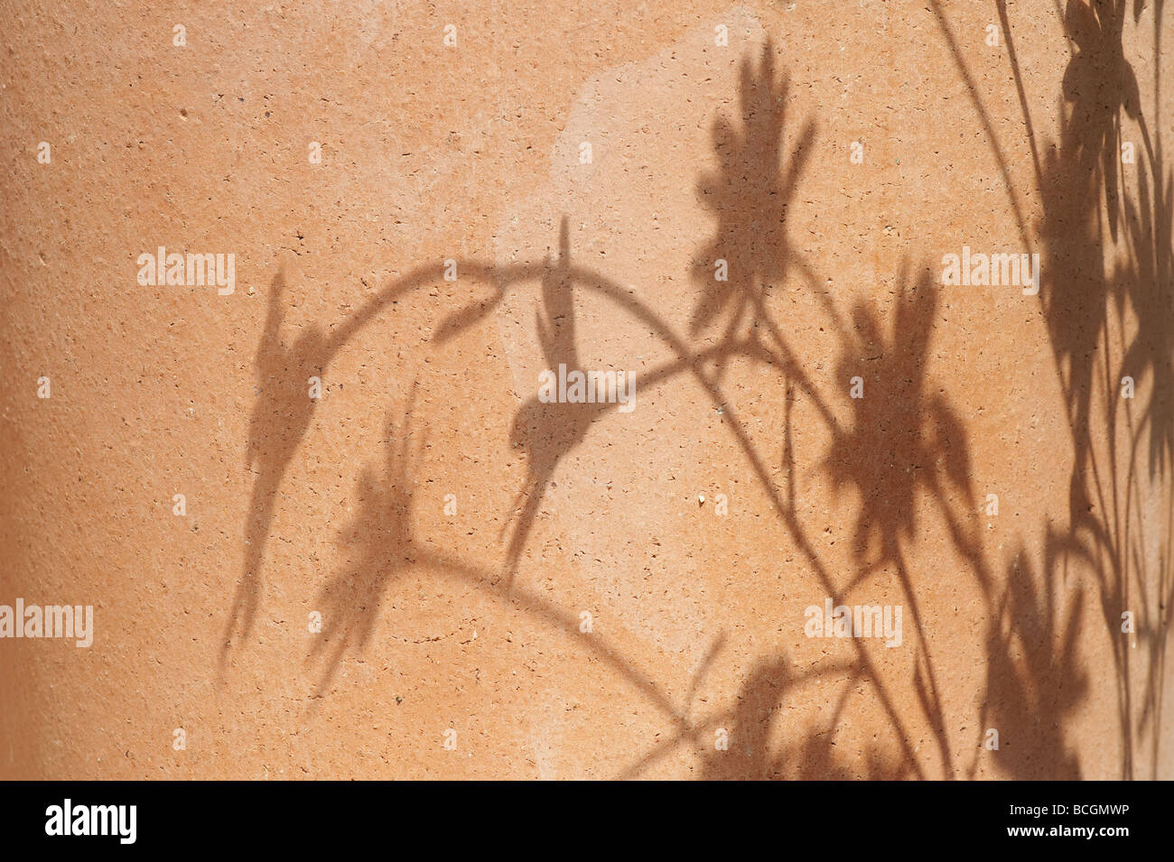 Flower shadows on a terracotta flowerpot Stock Photo - Alamy
