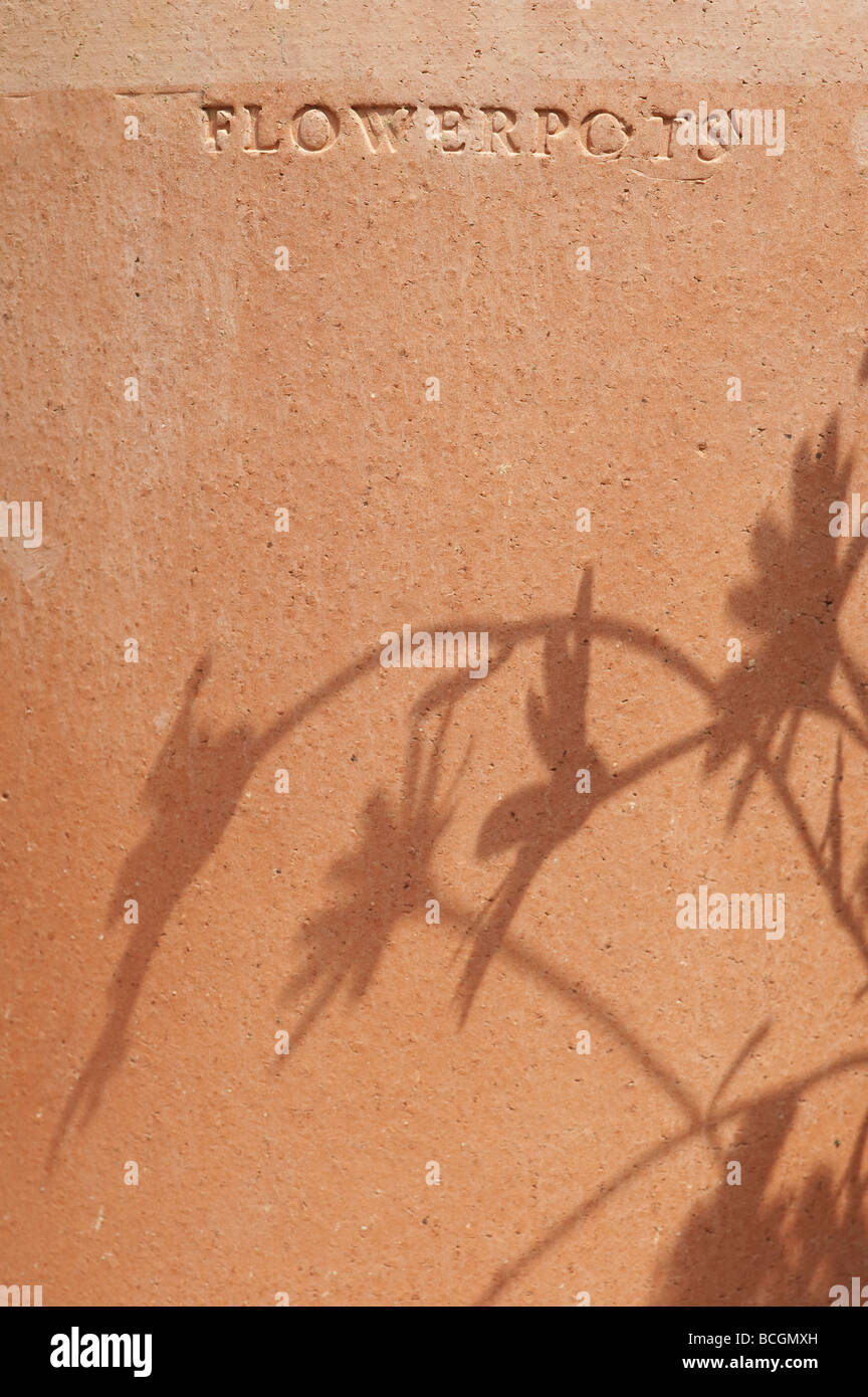 Flower shadows on a terracotta flowerpot Stock Photo - Alamy