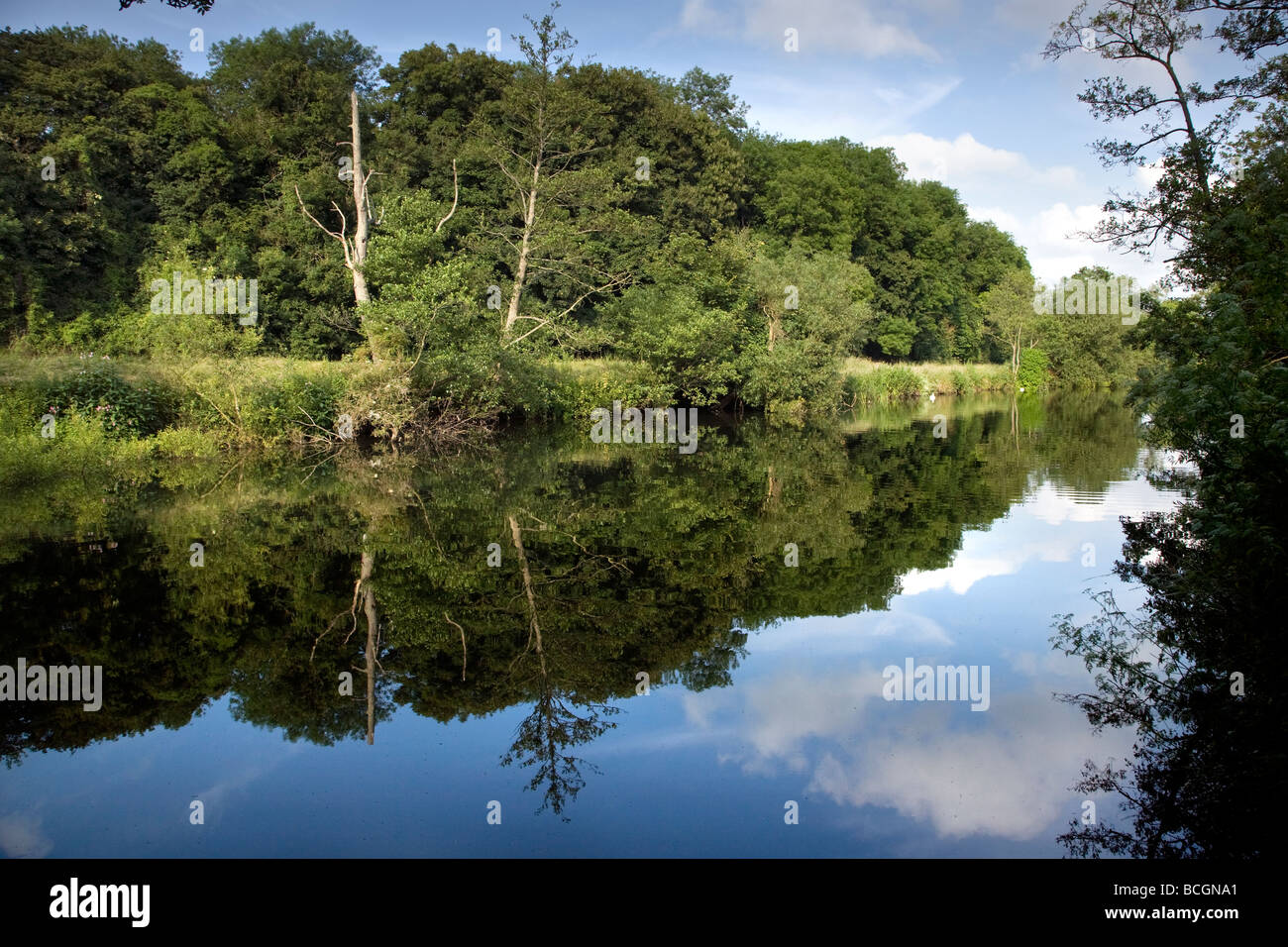 A PRETTY VIEW OF THE RIVER AVON WINDING THROUGH LIMPLEY STOKE ...