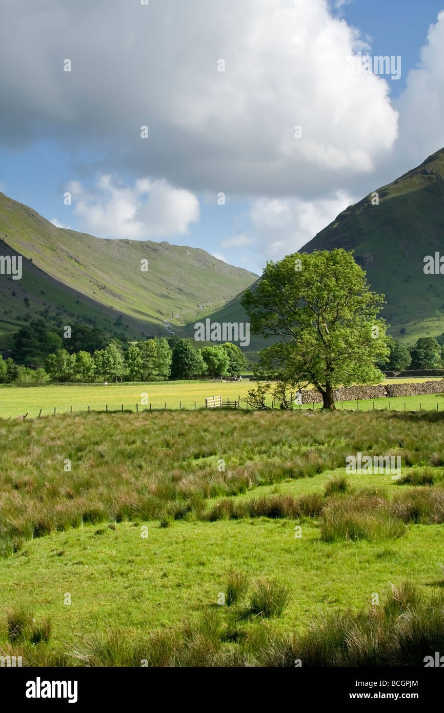 A Lakeland scene, Cumbria, The Lake District, UK Stock Photo - Alamy