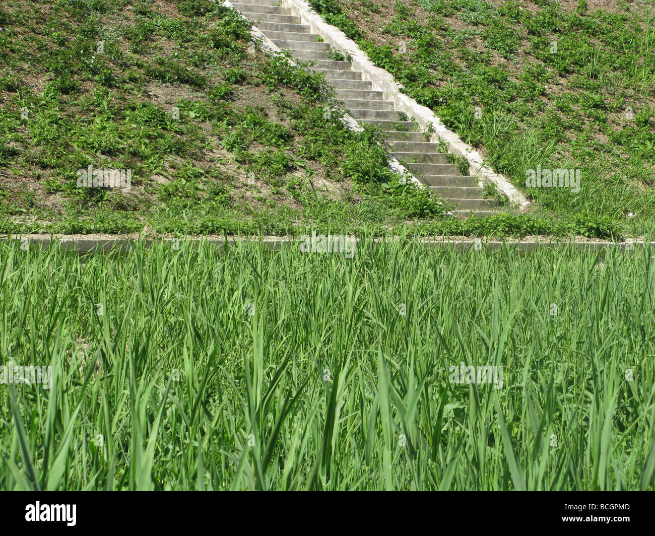 empty steps on hill by field in countryside Stock Photo - Alamy