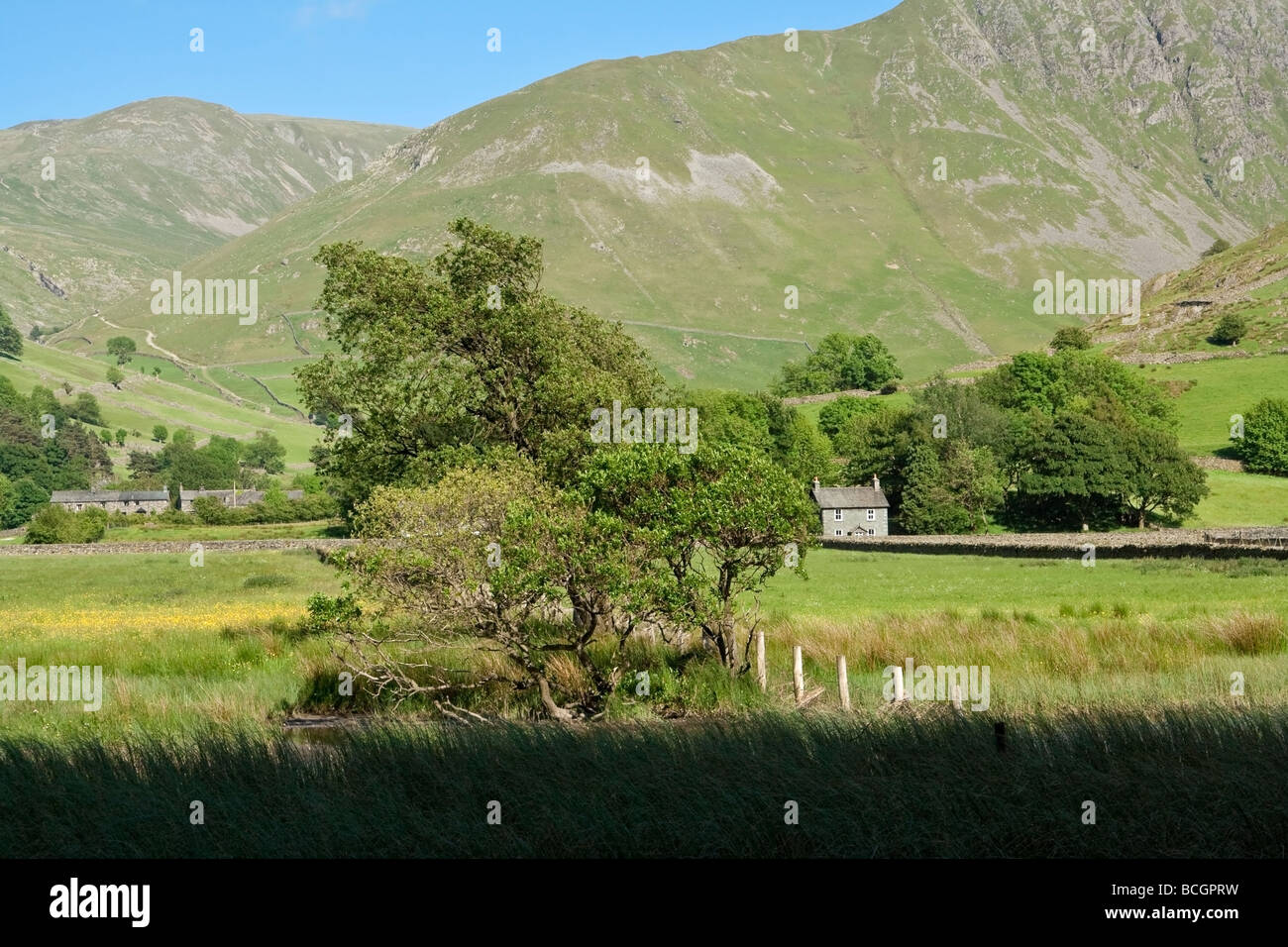 A Lakeland scene, Cumbria, The Lake District, UK Stock Photo - Alamy