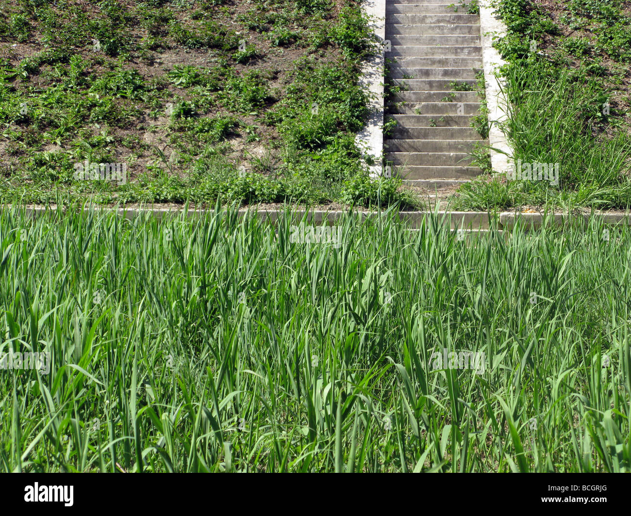 Empty vacant concept countryside hi-res stock photography and images ...