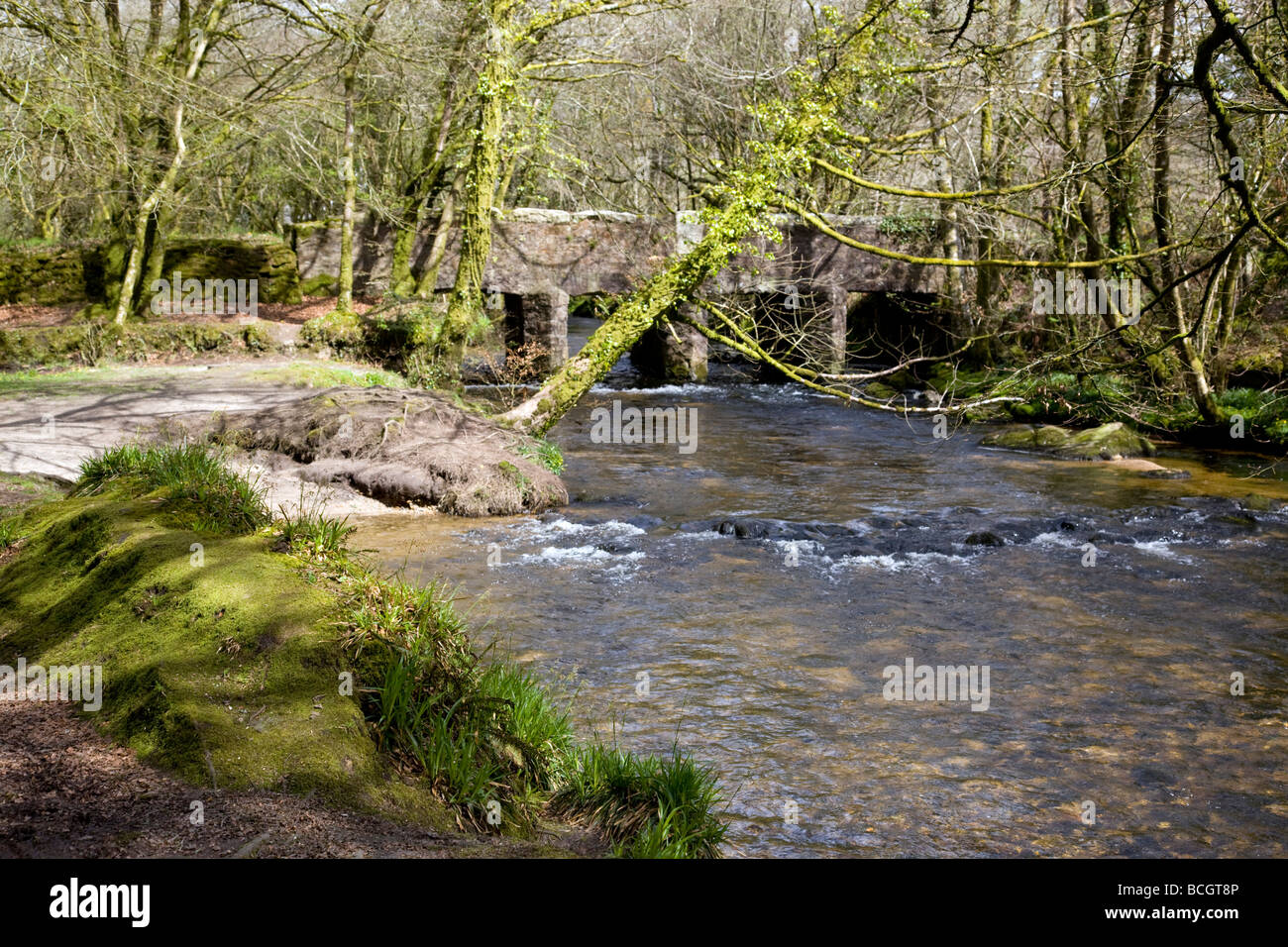 Draynes Bridge golitha national nature reserve on the river fowey ...