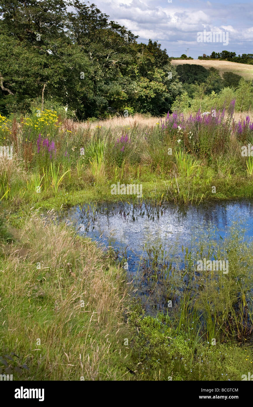 Attractive to wildlife hi-res stock photography and images - Alamy