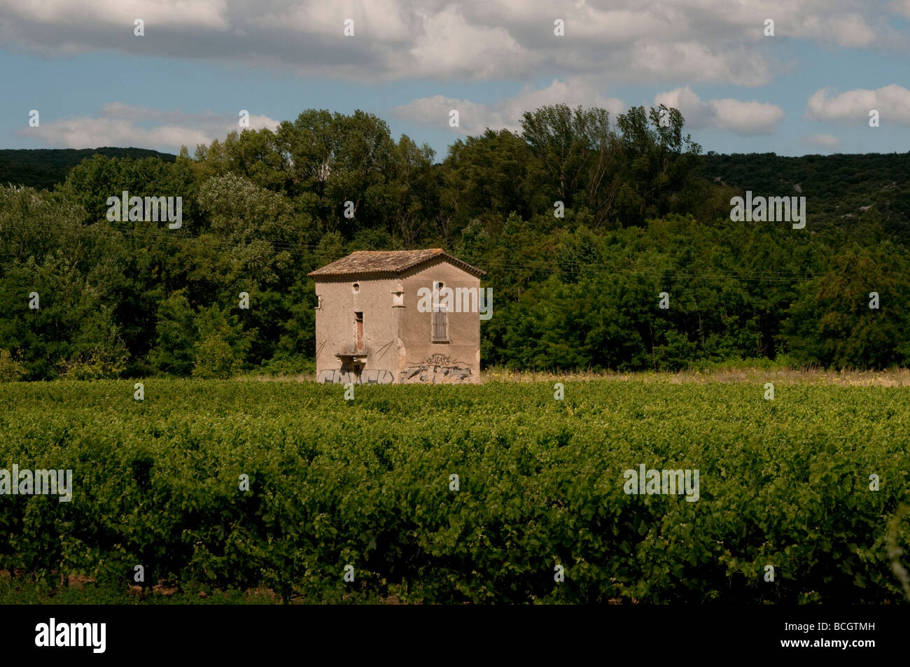 Vineyard and old house Languedoc France Stock Photo - Alamy