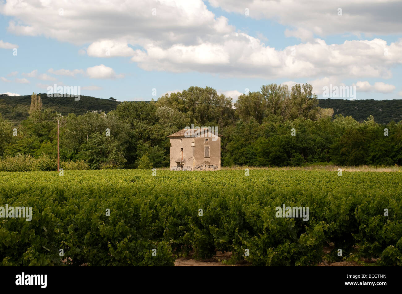 Old house and vineyard hi-res stock photography and images - Alamy