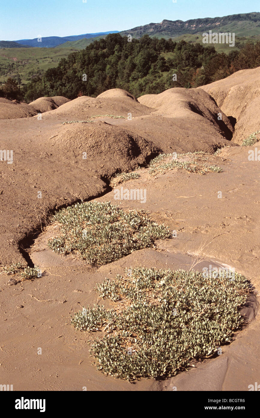 landscape with volcano, green forest and blue sky Stock Photo - Alamy