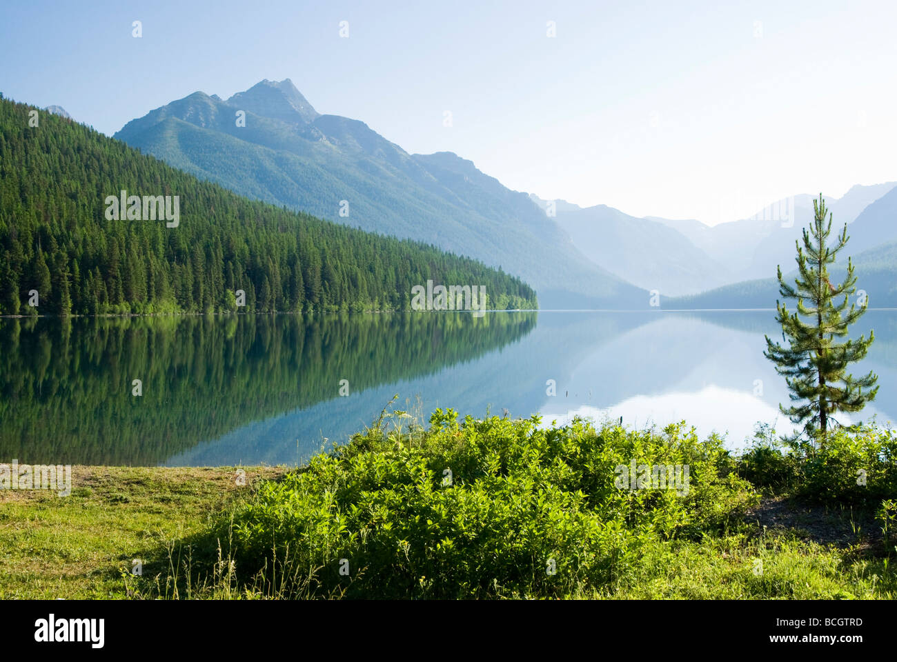 Bowman Lake in Glacier National Park Stock Photo - Alamy