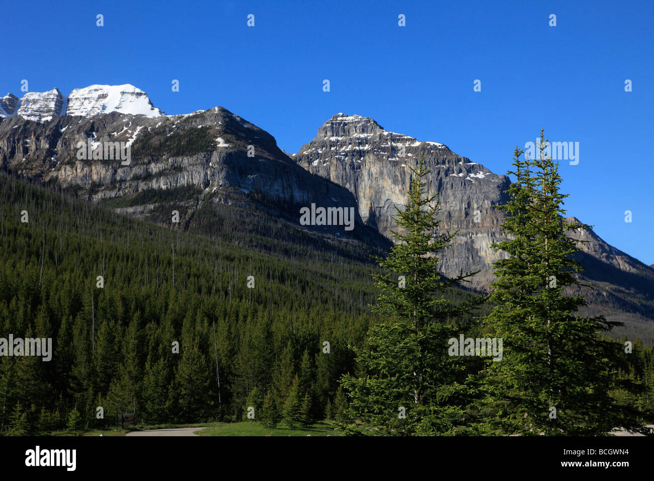 Canada BC Kootenay National Park Storm Mountain Stanley Peak Stock ...
