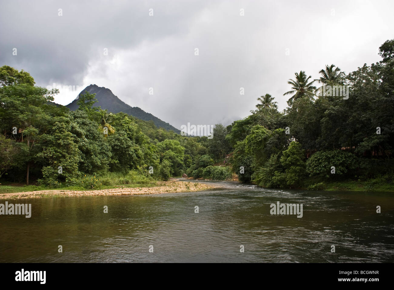 mountain scenery in kerala Stock Photo - Alamy