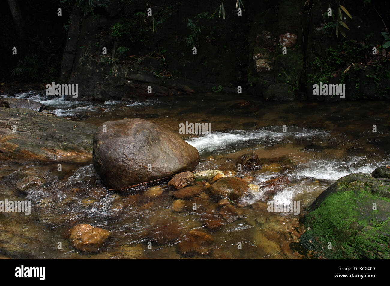 Pebbles in stream hi-res stock photography and images - Alamy