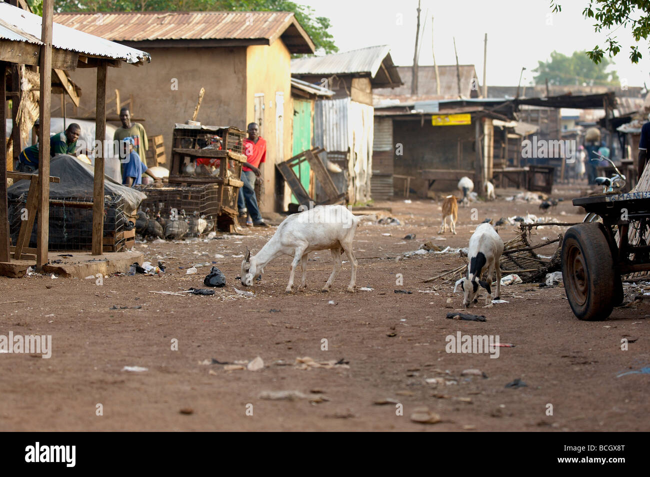 Aboabo Market Tamale Ghana Stock Photo - Alamy