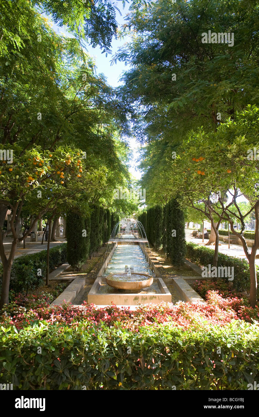 park area in Palma Majorca Stock Photo - Alamy