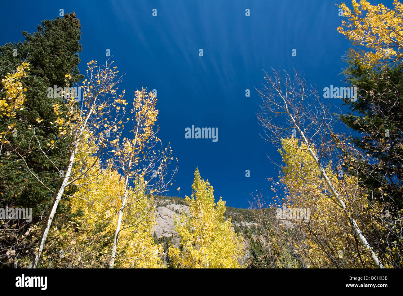 Landscape in Rocky Mountain National Park, Colorado, in fall Stock ...