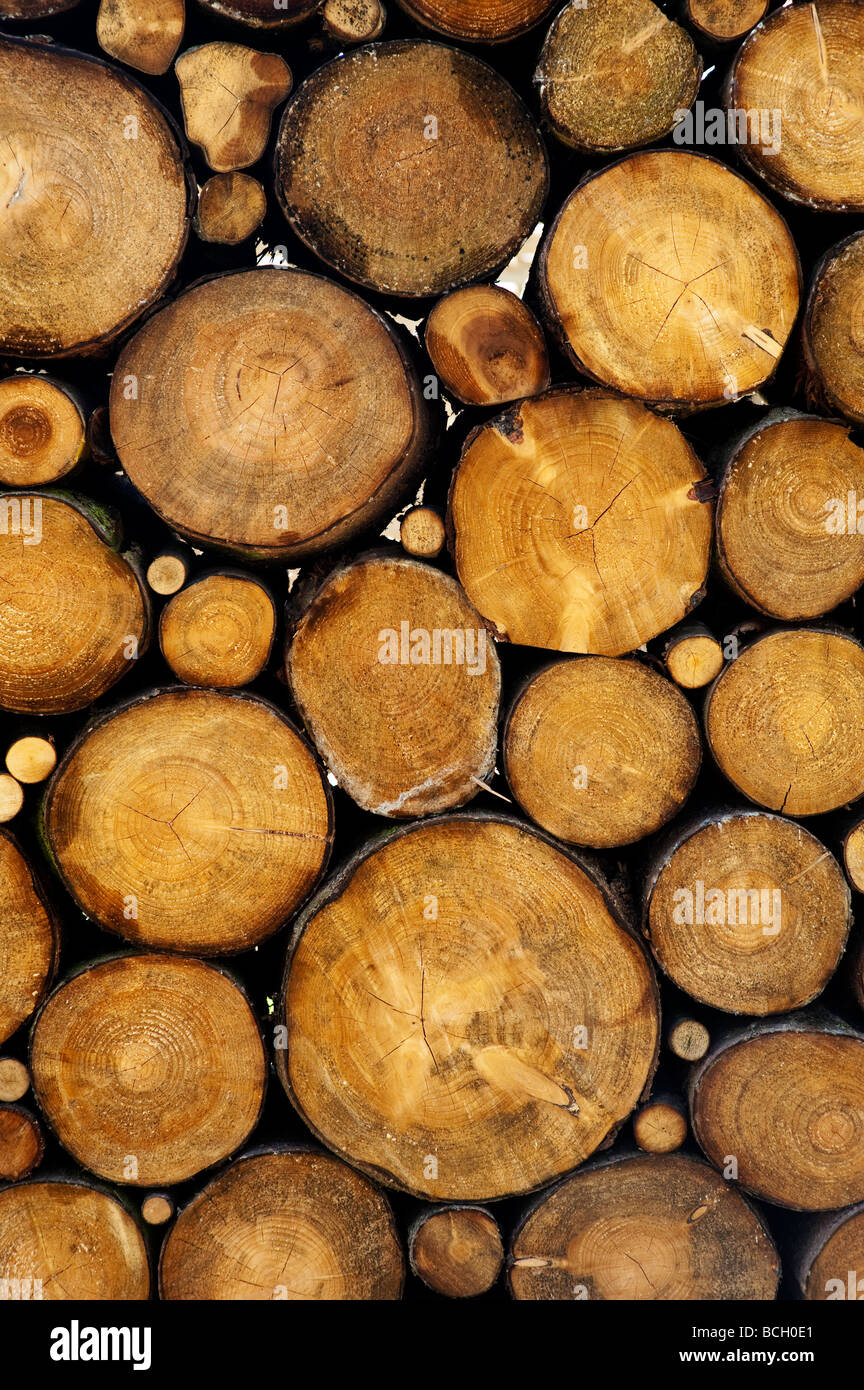 Log pile garden hi-res stock photography and images - Alamy