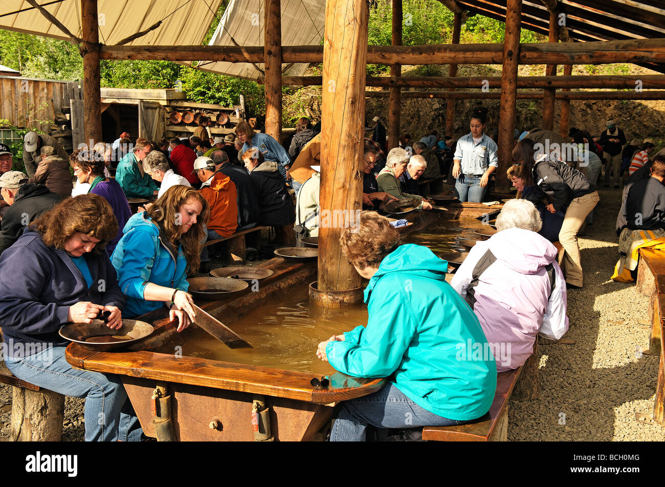 Recreational Gold Panning In Alaska