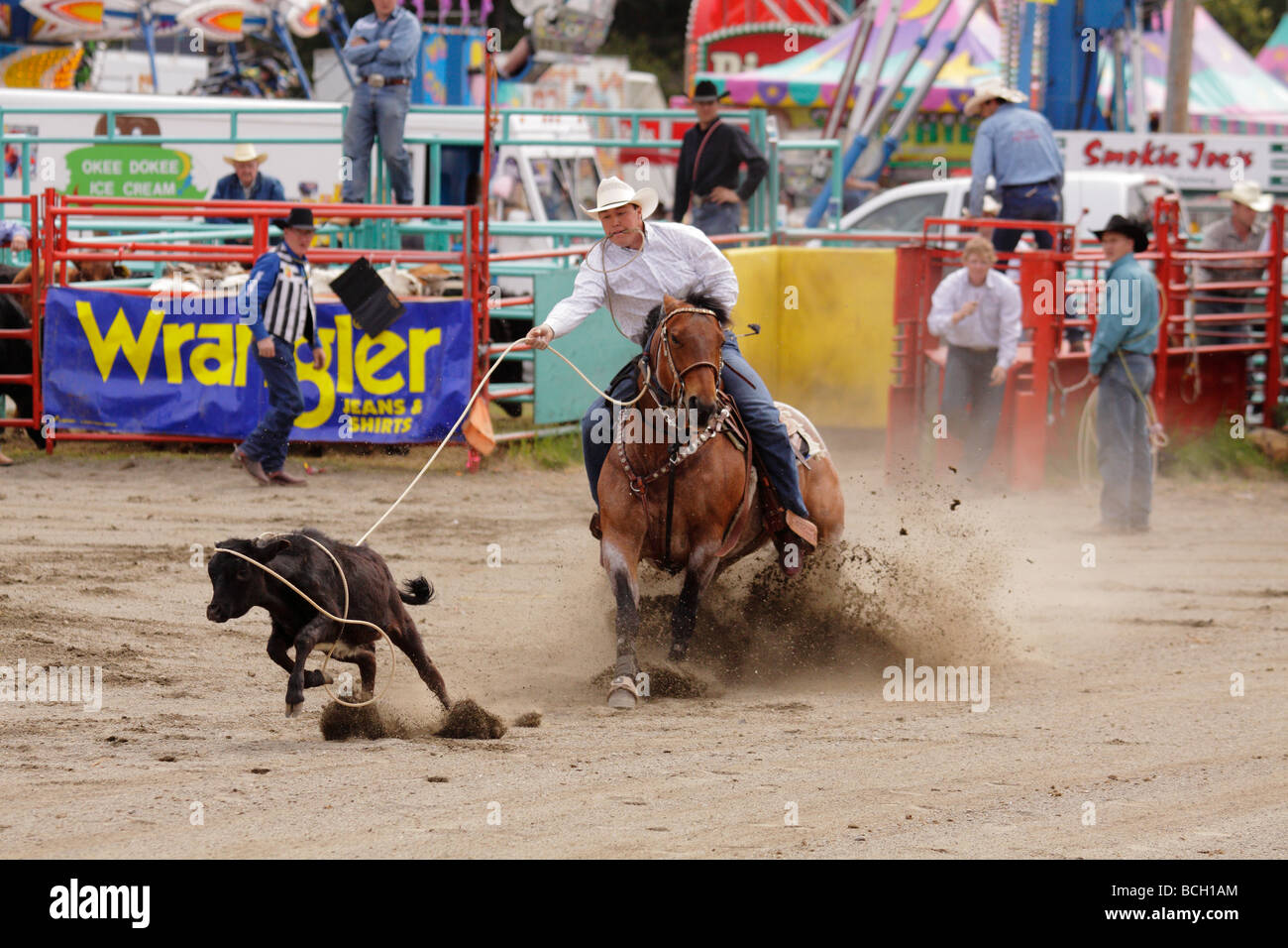 Calf roping hi-res stock photography and images - Alamy