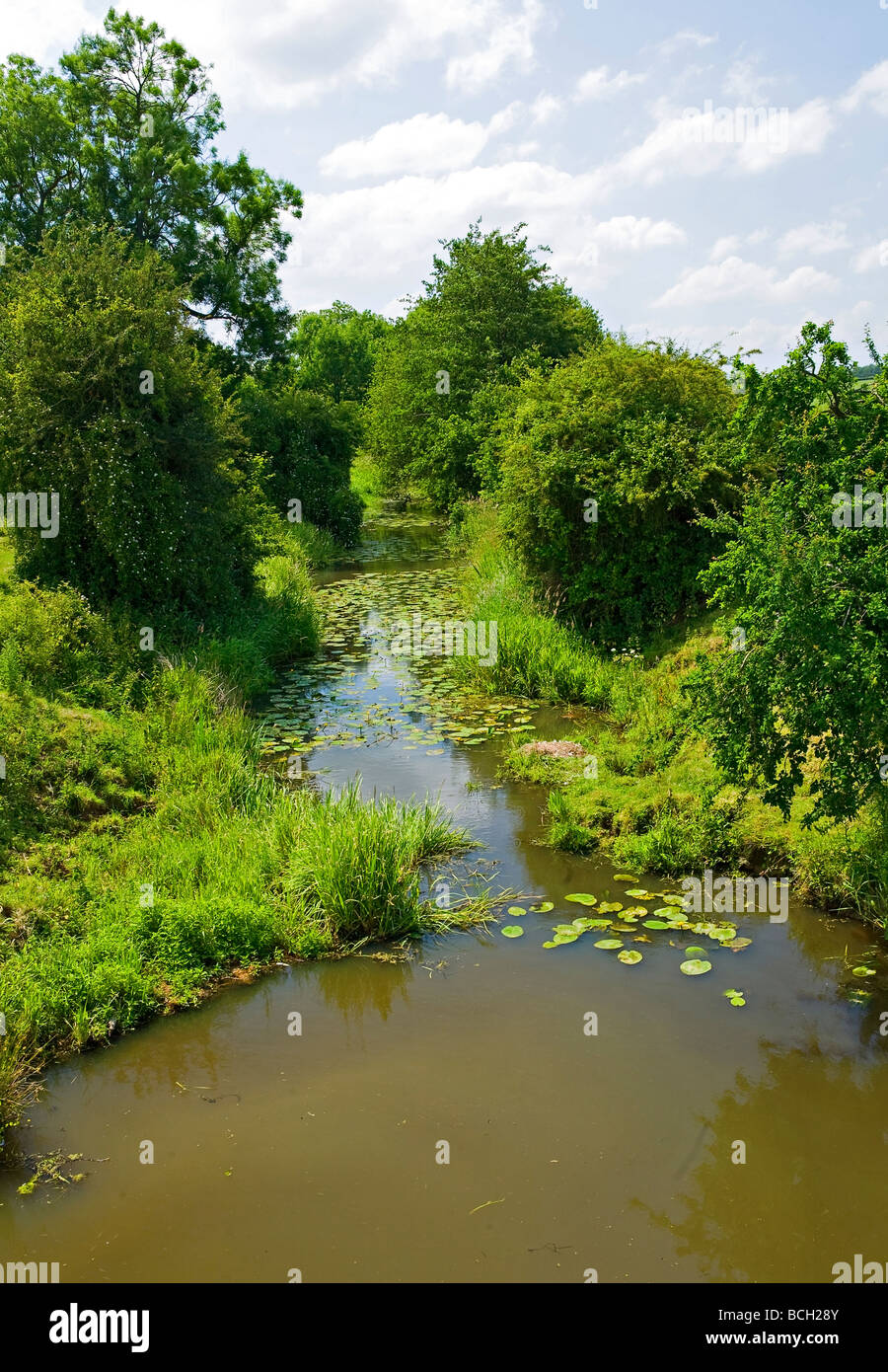 English summer waterway hi-res stock photography and images - Alamy