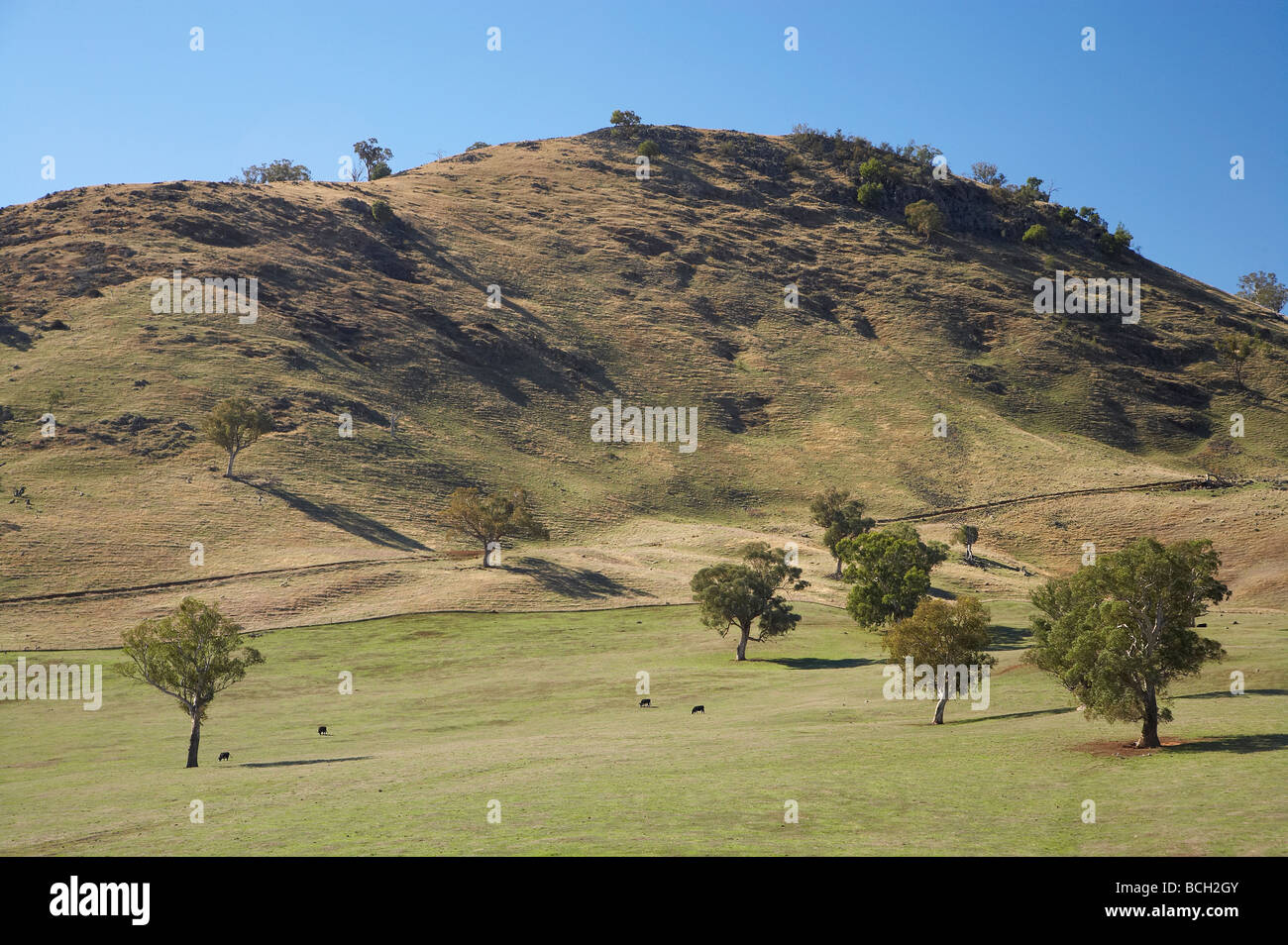 Farmland near gundagai hi-res stock photography and images - Alamy