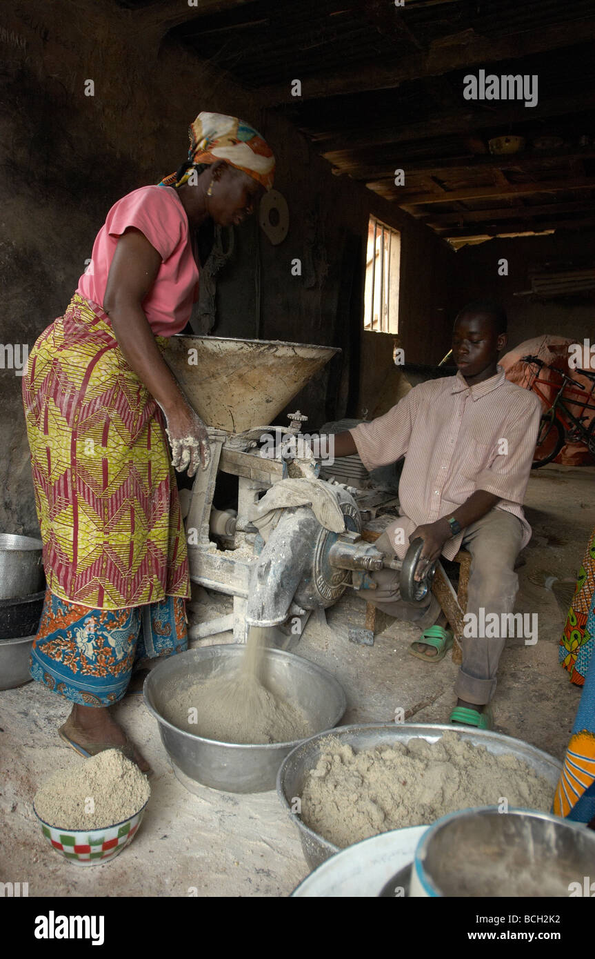 Maize grain hi-res stock photography and images - Alamy
