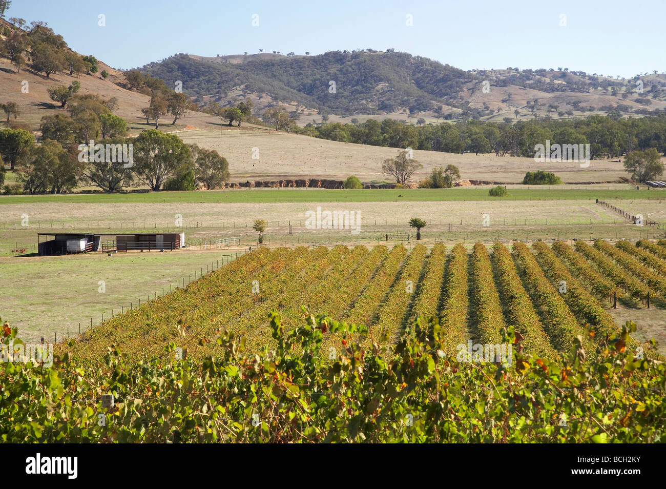 Road vineyard australia hi-res stock photography and images - Alamy