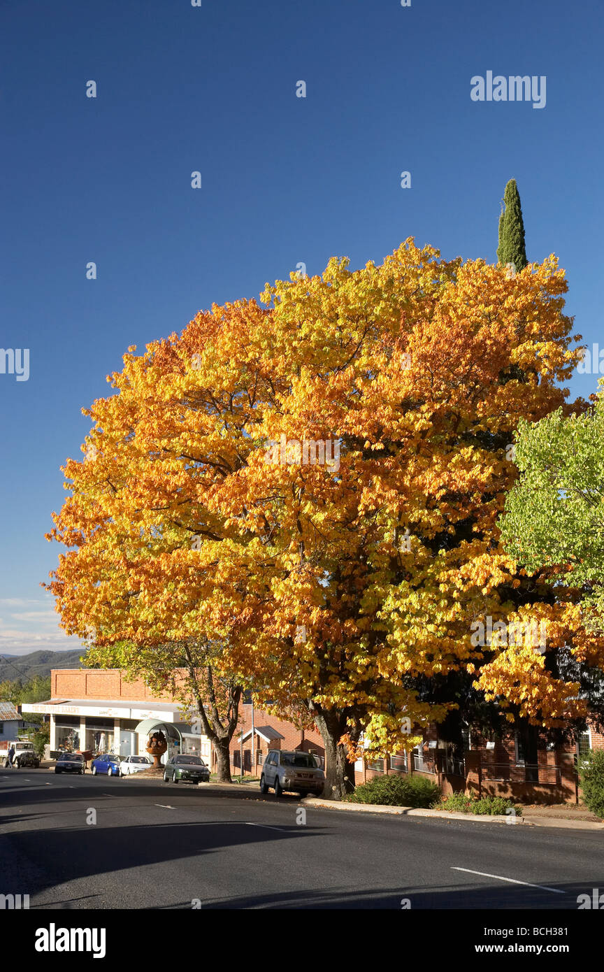 Blue mountains colour hi-res stock photography and images - Alamy