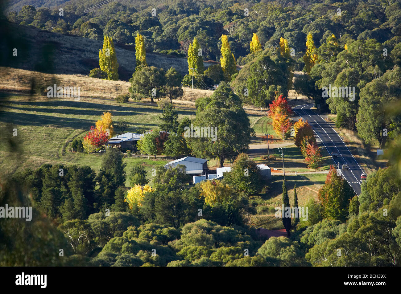 West australian trees hi-res stock photography and images - Alamy